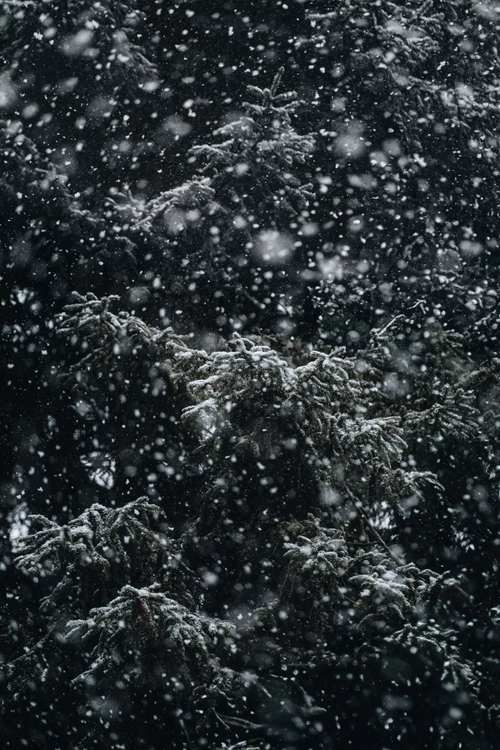 Photos - Astro AntfuStyle Theme